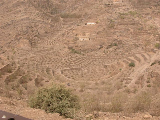 The Power of Dew - TheWaterChannel