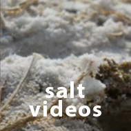 Is the world getting saltier? - TheWaterChannel