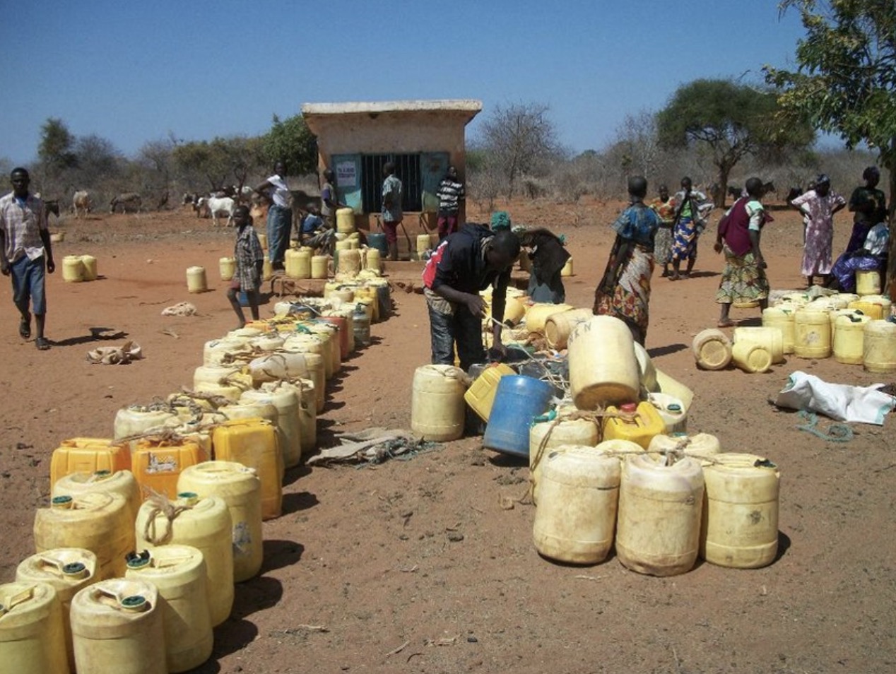 Rocks: The blessing in disguise - TheWaterChannel