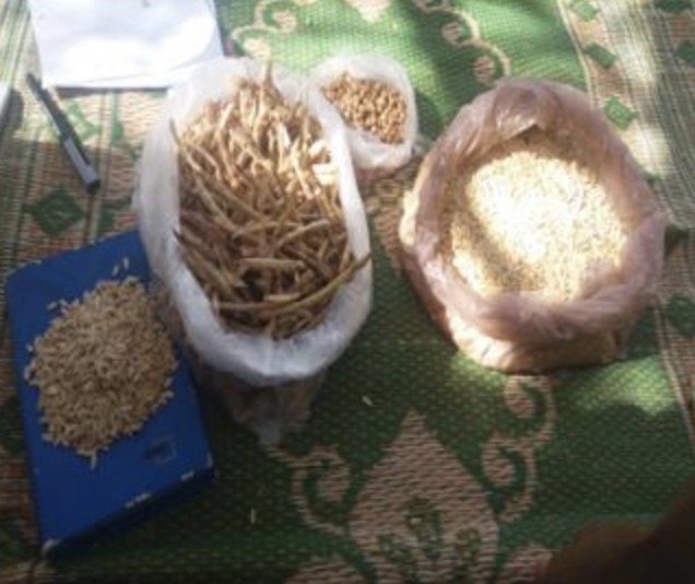 Farmer to Farmer Knowledge Transfer - TheWaterChannel