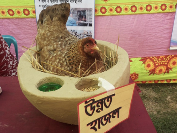 Broody: the Essential Art of Hatching - TheWaterChannel