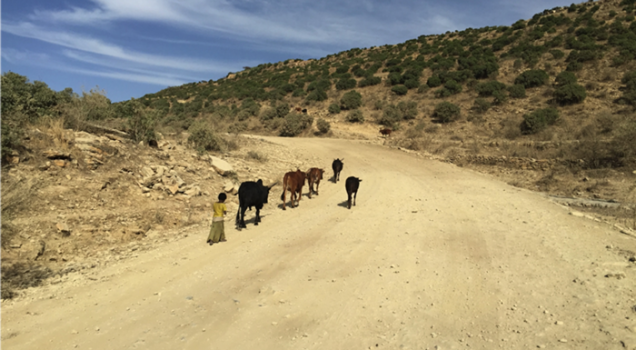 On Local Circular Growth: Creating 500,000 Jobs in Rural Transport in ...