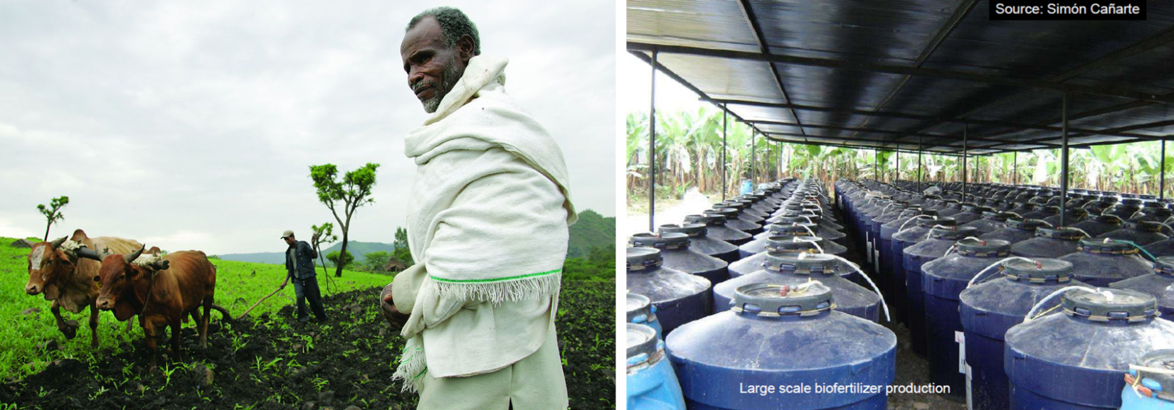 Producing biofertilizers to promote circulation of money - TheWaterChannel