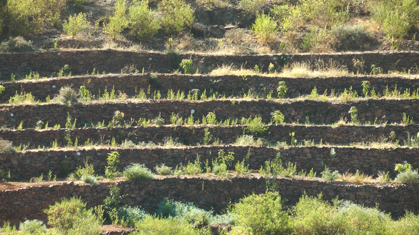 Creating new land: bench terraces up in the mountains - TheWaterChannel
