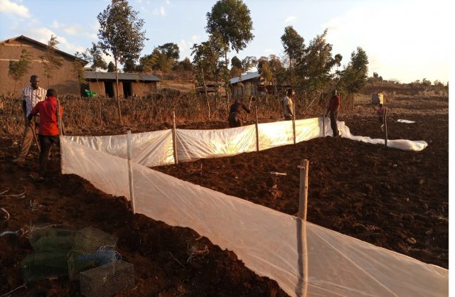 TBS: an Ecologically-based Rodent Management technique that can work ...