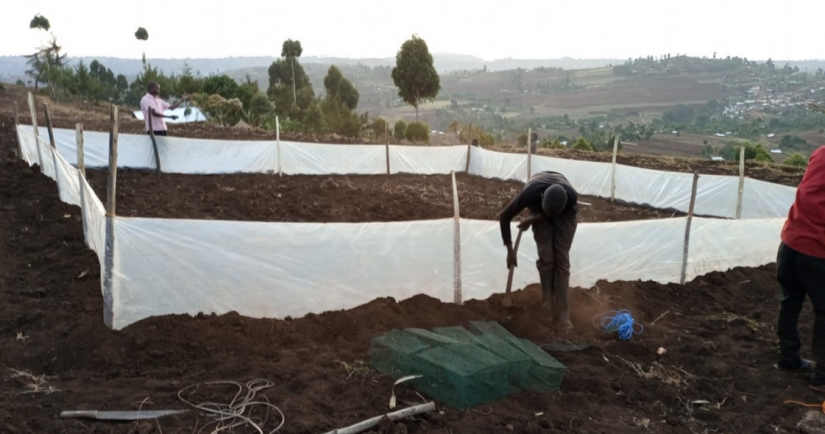 TBS: an Ecologically-based Rodent Management technique that can work ...