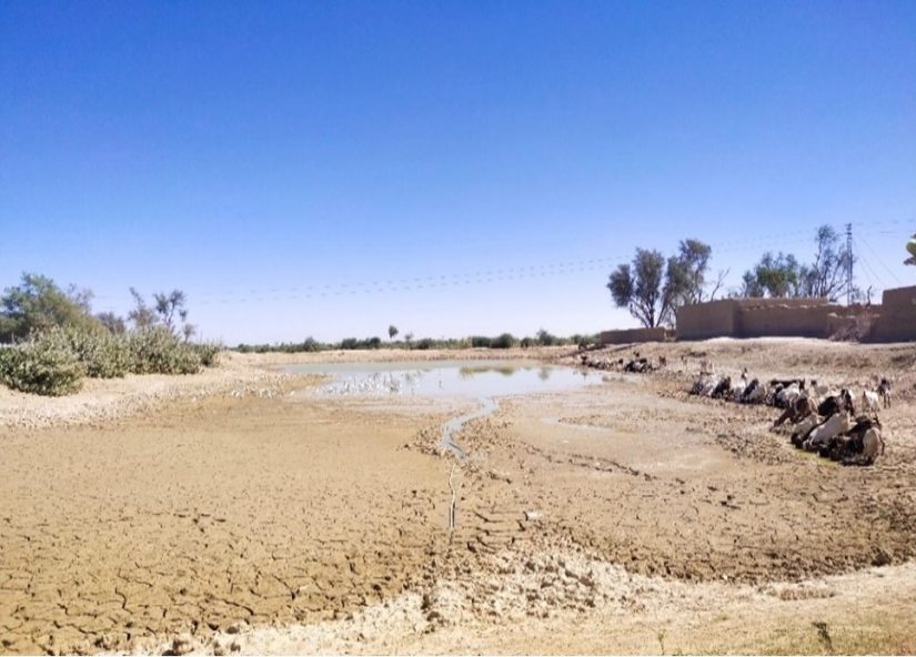 Access to drinking water in spate irrigation areas with small ...