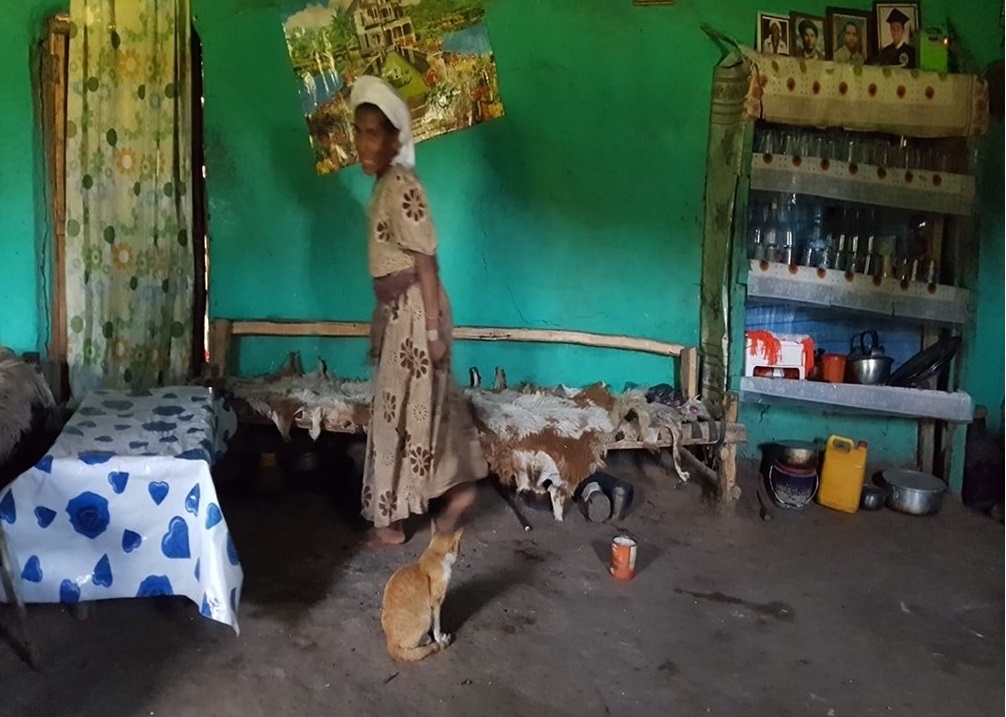 Improving hygiene and health: village level ecologically based rodent ...