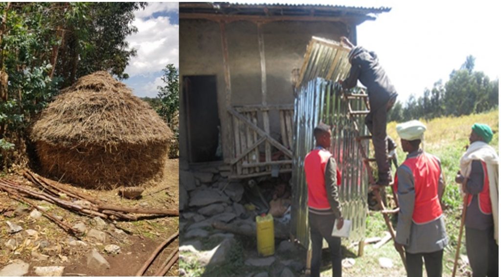 Improving hygiene and health: village level ecologically based rodent ...