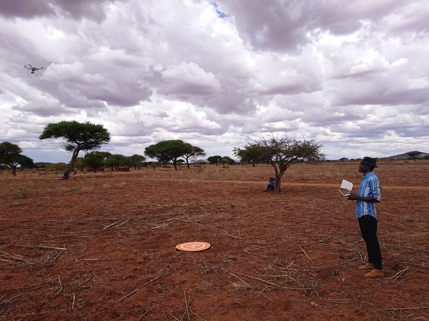Counting Trees With Drones And Artificial Intelligence TheWaterChannel Counting Trees With Drones And Artificial Intelligence TheWaterChannel