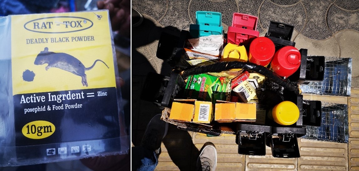 Rodenticides in Ethiopia – a short account - TheWaterChannel