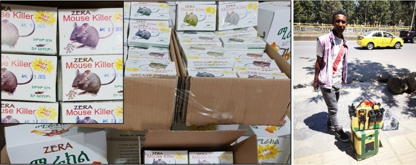 Rodenticides in Ethiopia – a short account - TheWaterChannel