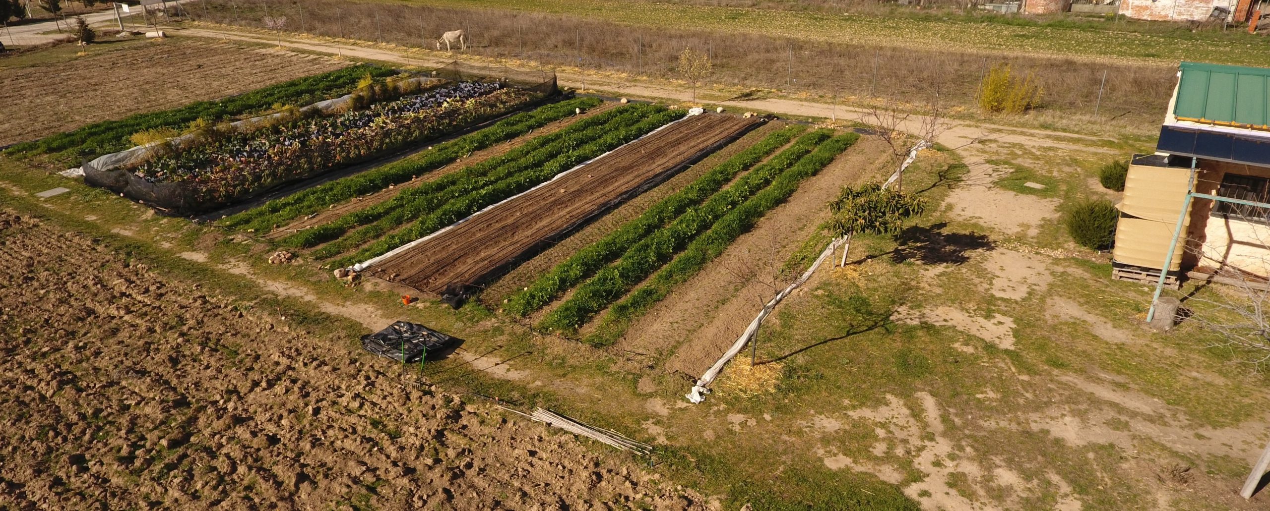 Soil nutrients for healthy plants - TheWaterChannel