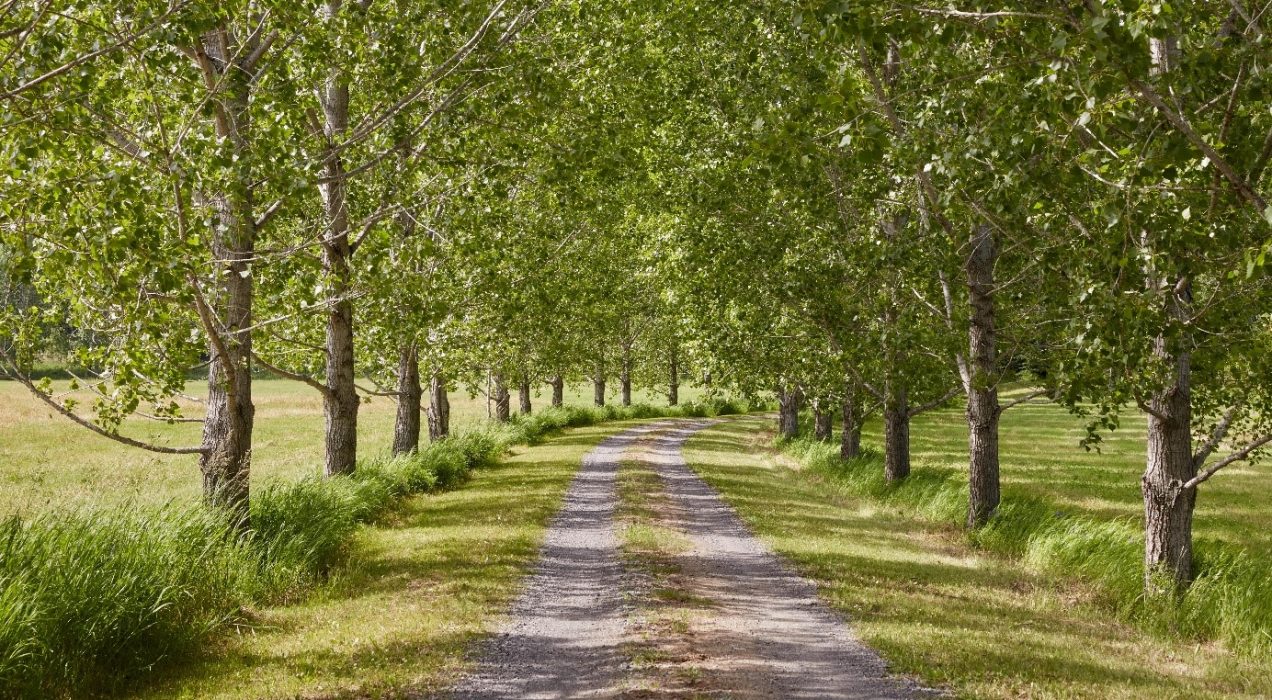 A Socio-Ecological Systems approach to agriculture - TheWaterChannel