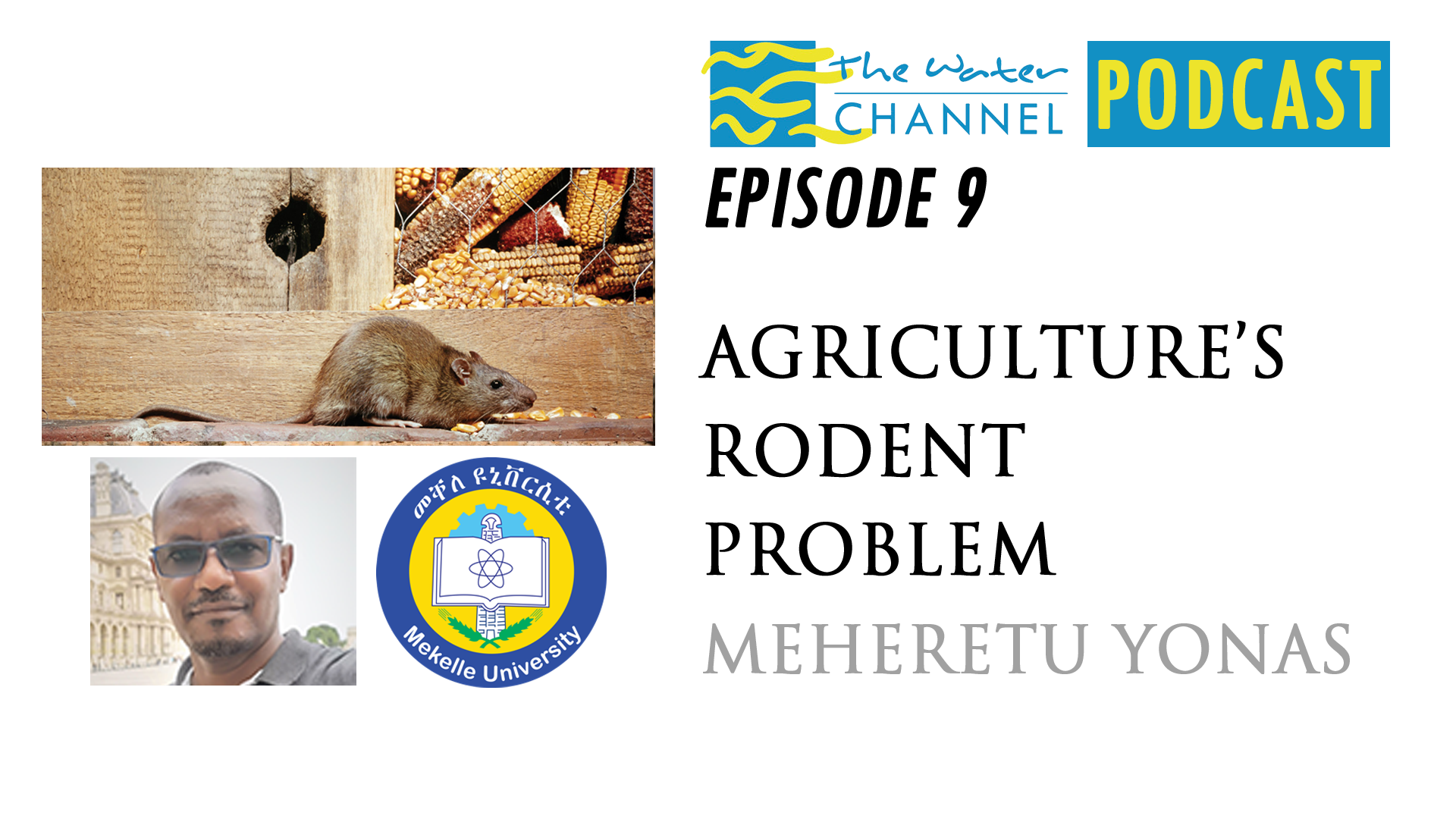 Agriculture's Rodent Problem - TheWaterChannel