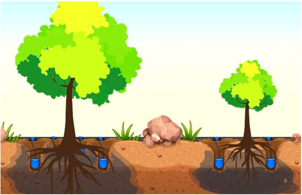 The 5 Ms: Moisture at plant root zone (Part 1) - TheWaterChannel