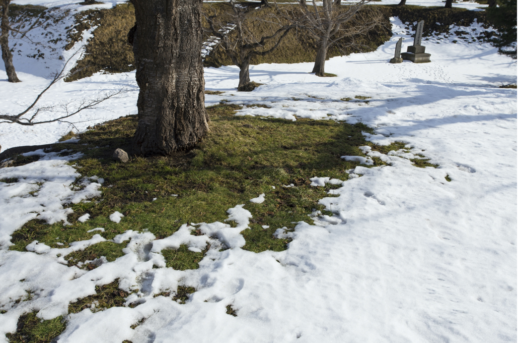 Snow, no snow: microclimates revealed - TheWaterChannel