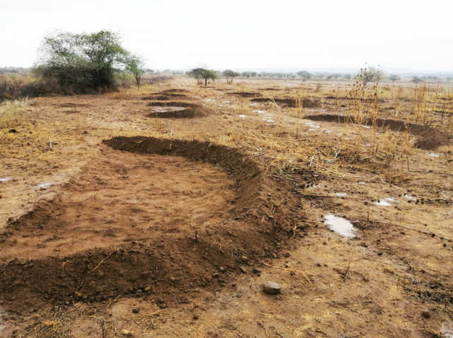 Cool it: how to change the local climate with hundreds of soil bunds ...
