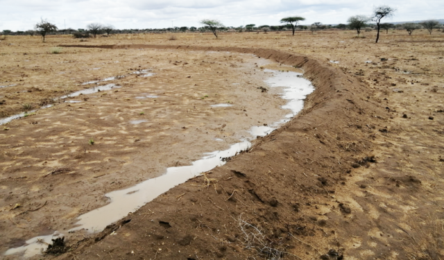 Cool it: how to change the local climate with hundreds of soil bunds ...