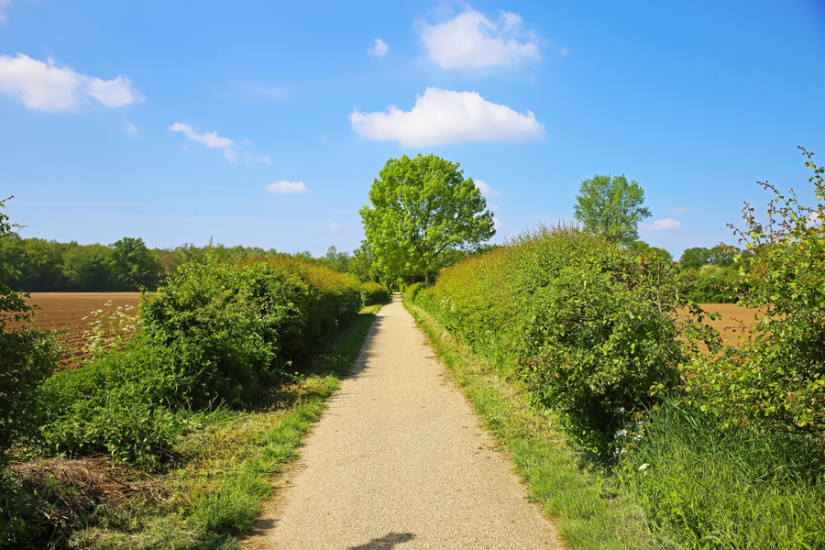 Hedging Opportunities - TheWaterChannel