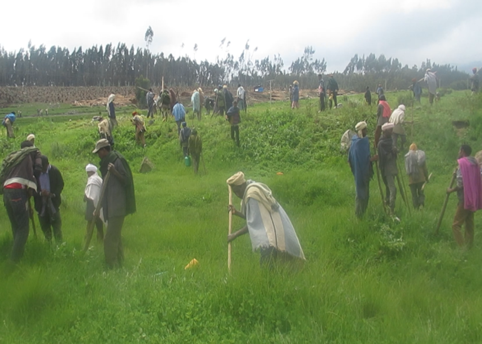 Establishing Ecological Based Rodent Management in Ethiopia - Part 3 ...