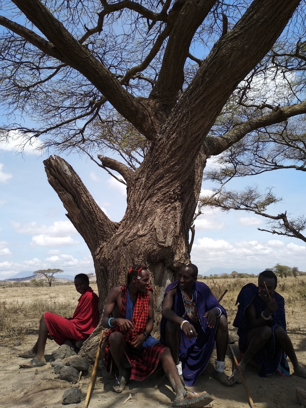 What to do when “the sun burns the earth”? - TheWaterChannel