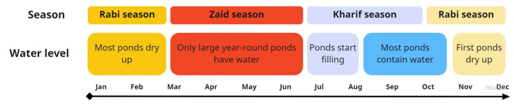 Ponds as an asset for agriculture: how to keep them full - TheWaterChannel
