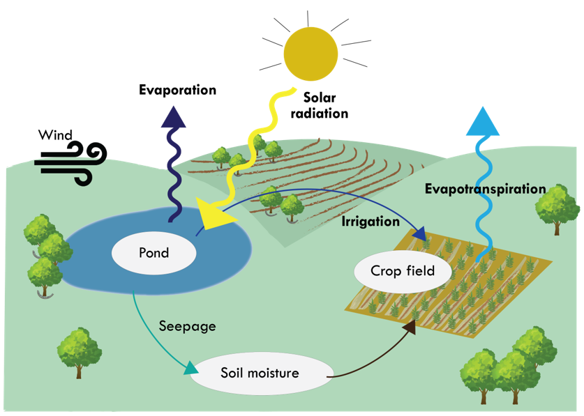 Ponds as an asset for agriculture: how to keep them full - TheWaterChannel