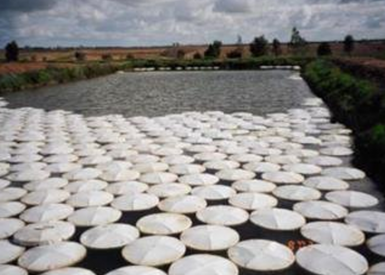 Ponds as an asset for agriculture: how to keep them full - TheWaterChannel