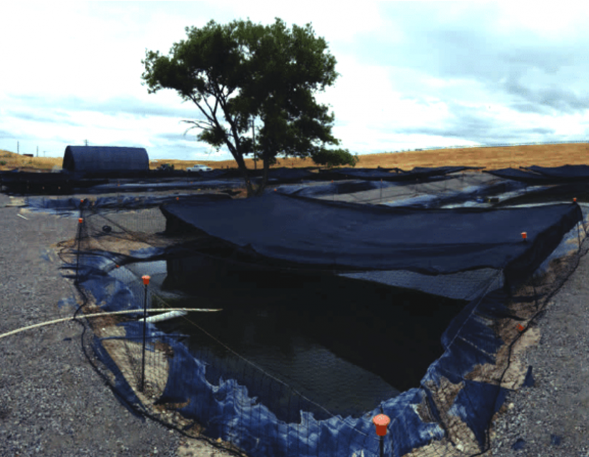 Ponds as an asset for agriculture: how to keep them full - TheWaterChannel