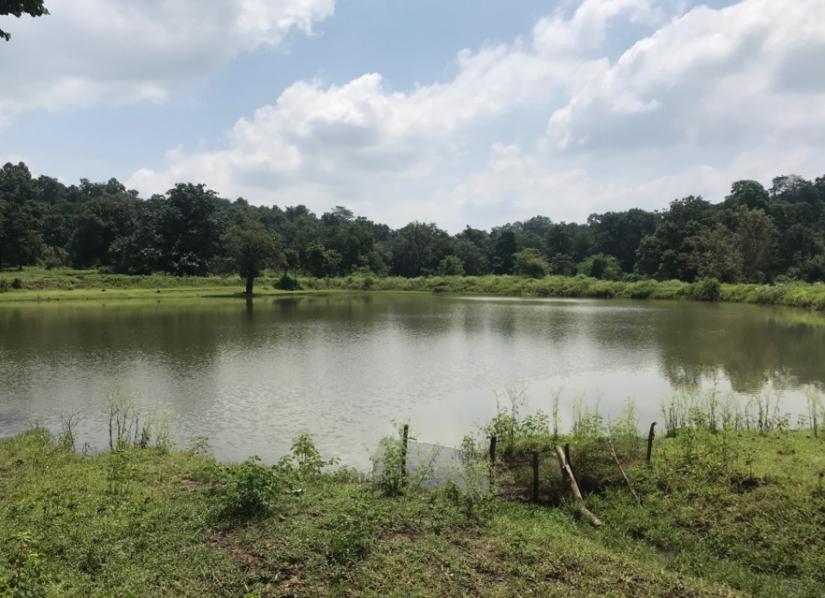 Ponds as an asset for agriculture: how to keep them full - TheWaterChannel