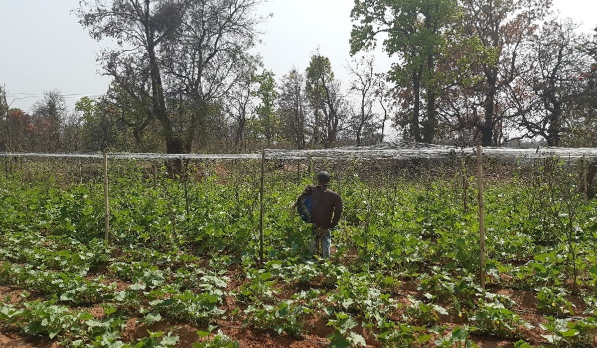 Down to Earth: Understanding the regenerative agricultural practices ...