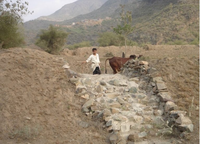 Laths – key to rebuilding livelihoods after the floods in spate ...