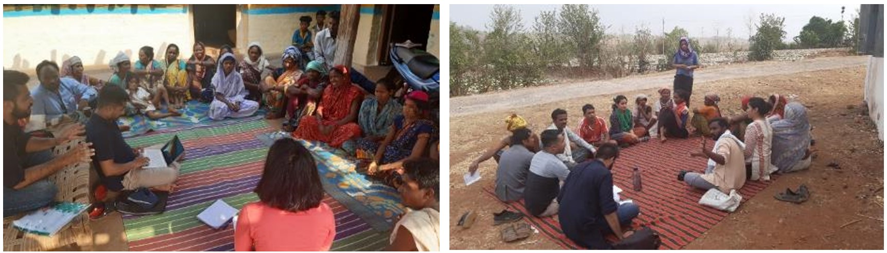 Rodent damage is real - and critical to understand before one can curb ...