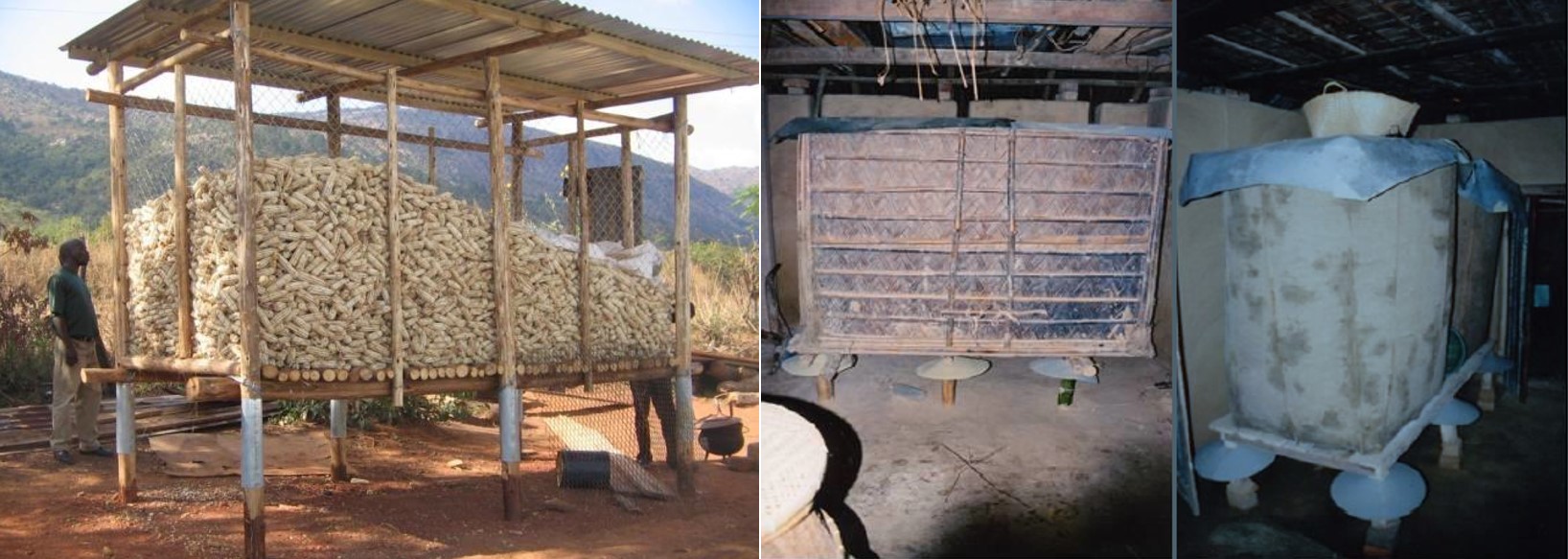 Options for effective Ecologically-Based Rodent Management in India ...