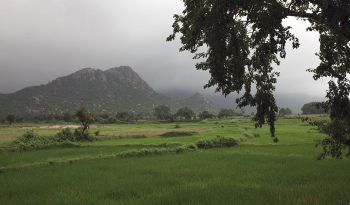 A conversation with Bimla Kujur: The Samvidhan Saathi - TheWaterChannel