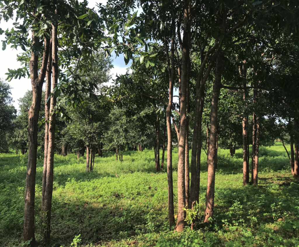 A Socio-Ecological Systems approach to agriculture - TheWaterChannel