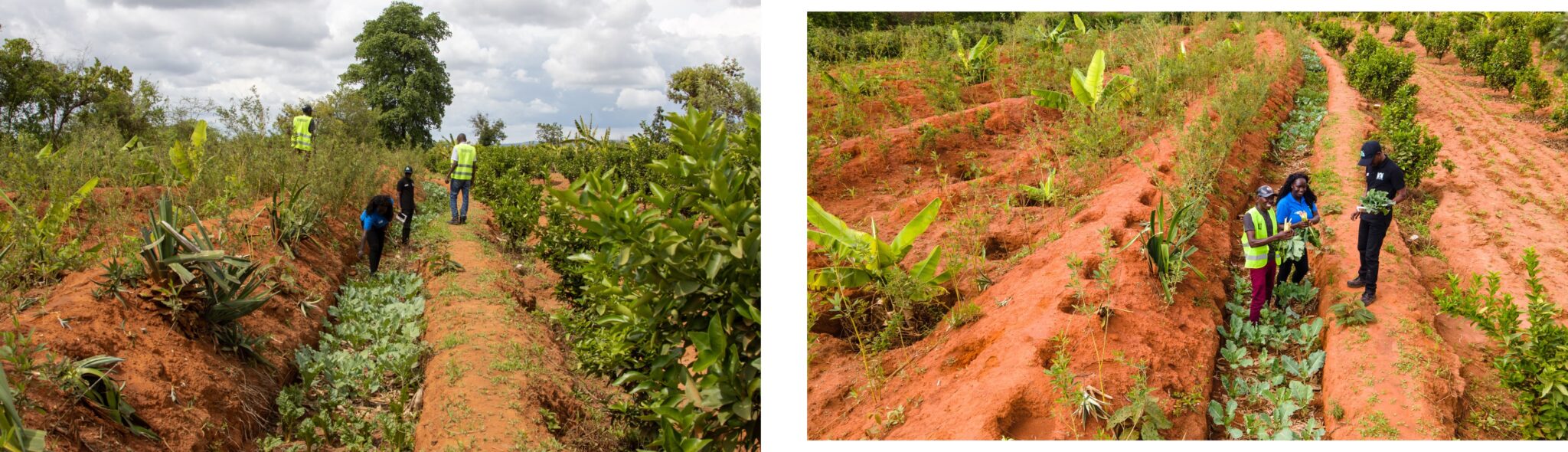 Green Roads for Water for building resilience against climate extremes ...