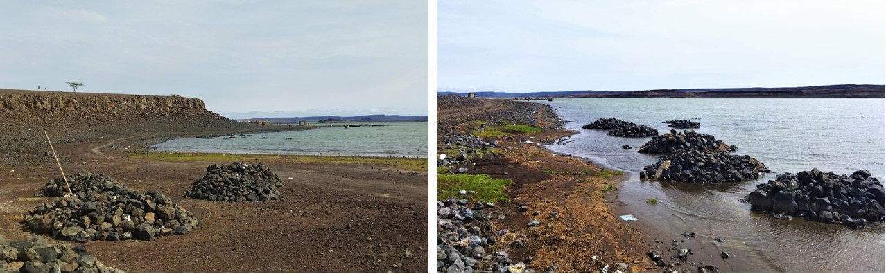 Out of options? - TheWaterChannel