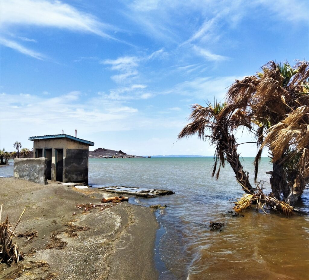 Out of options? - TheWaterChannel