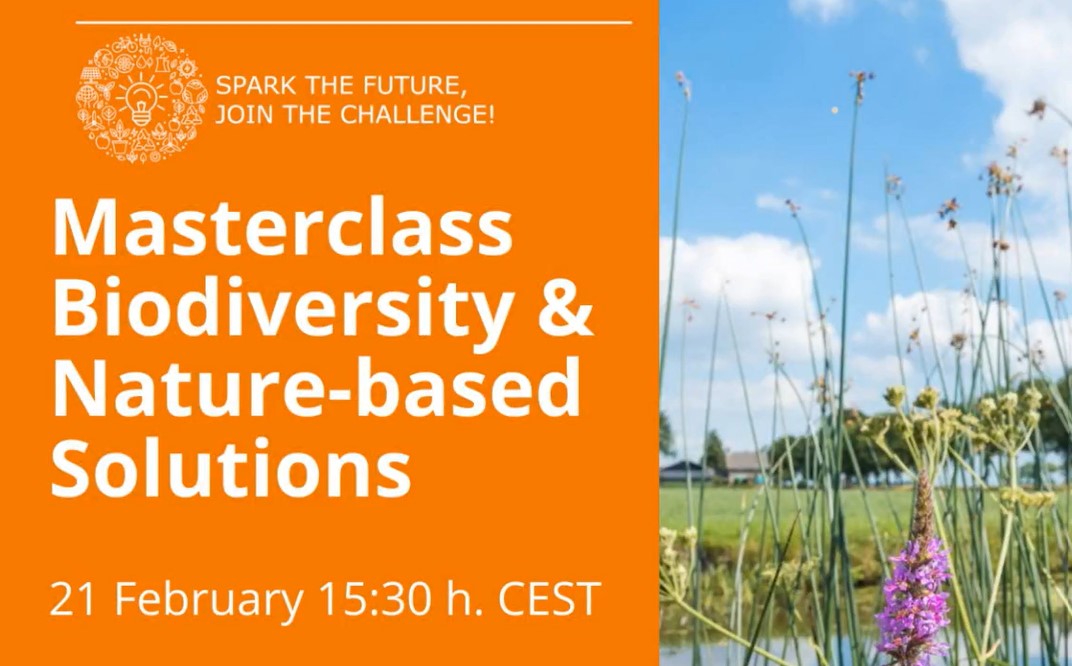 Masterclass: Biodiversity and Nature-based Solutions - TheWaterChannel