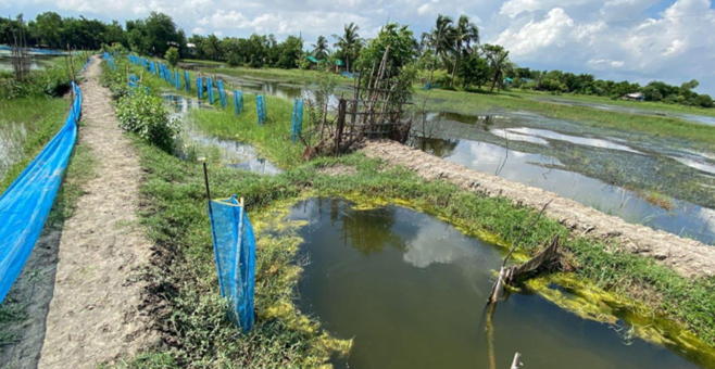 The untapped potential: local water management in Bangladesh ...