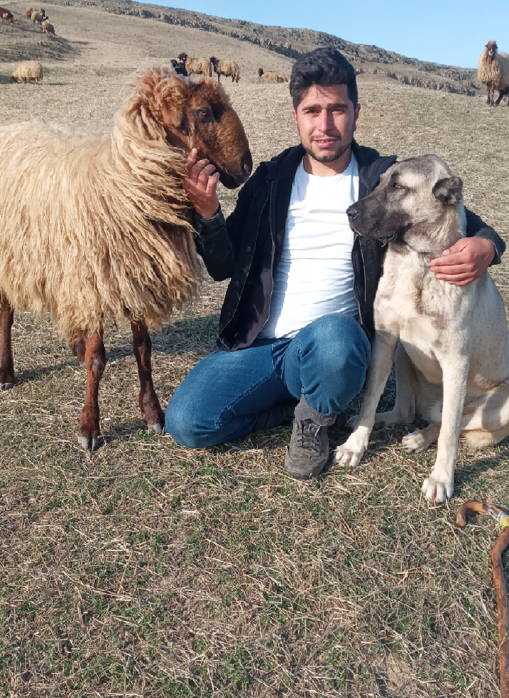 The everlasting shepherd - TheWaterChannel