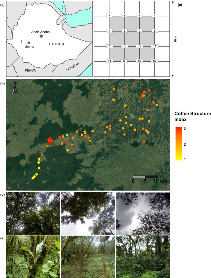 Promoting Biodiversity through Agroforestry - TheWaterChannel