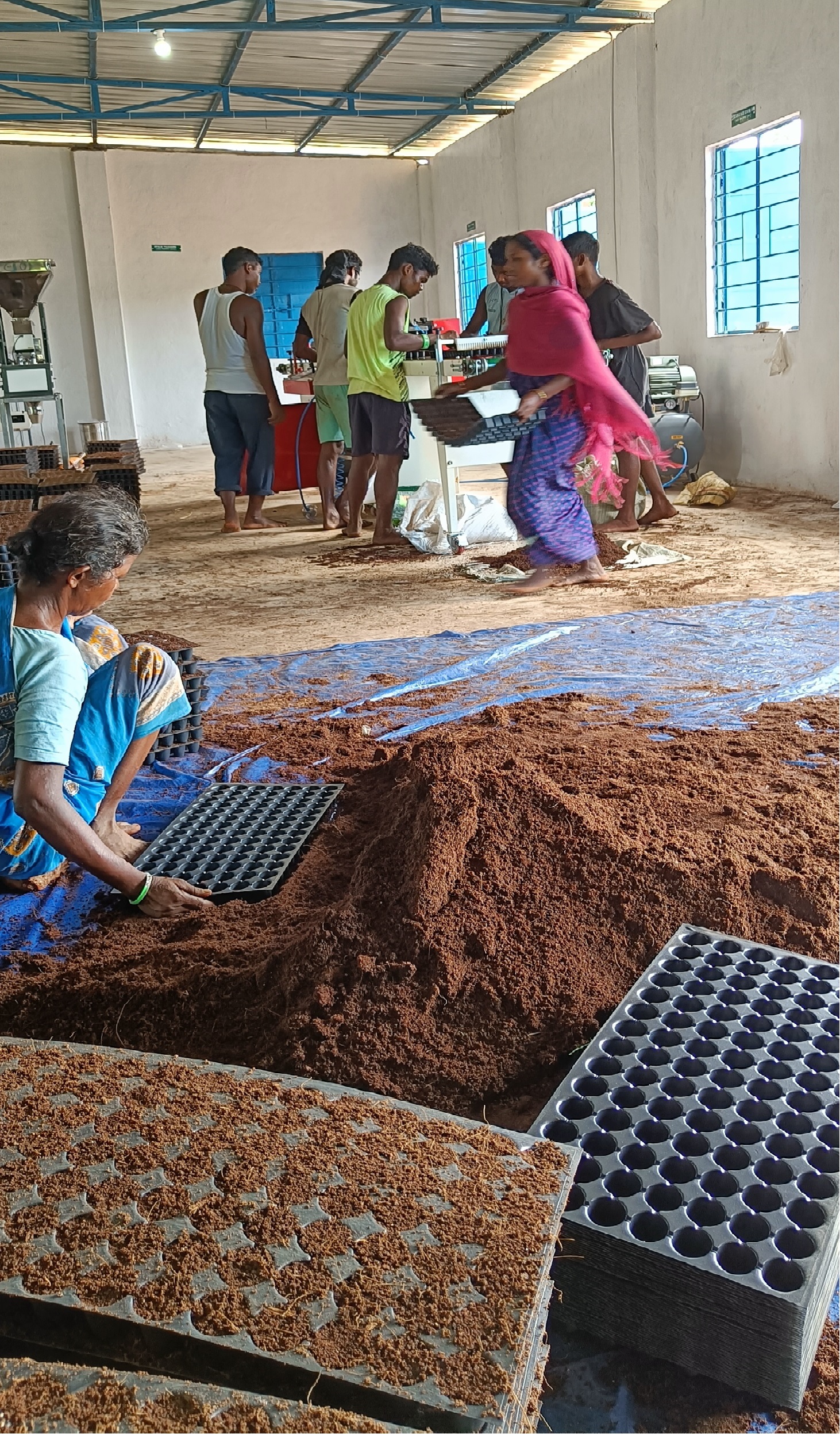 Seeds of Innovation: How the Organic Vegetable Seedling Production Unit ...