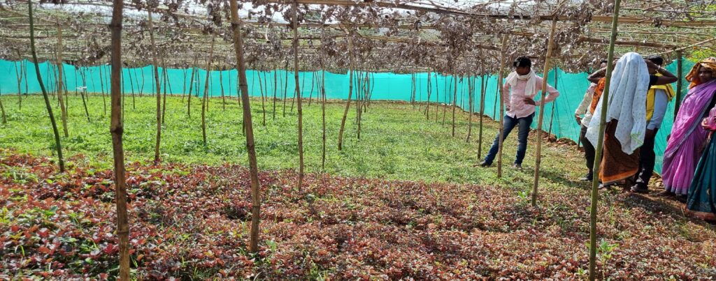 Comprehensive Homestead Model - TheWaterChannel