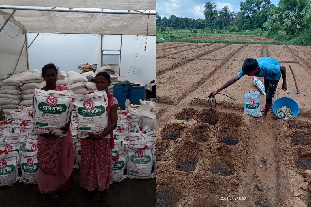 Sundarpalan's Super Compost Success - TheWaterChannel
