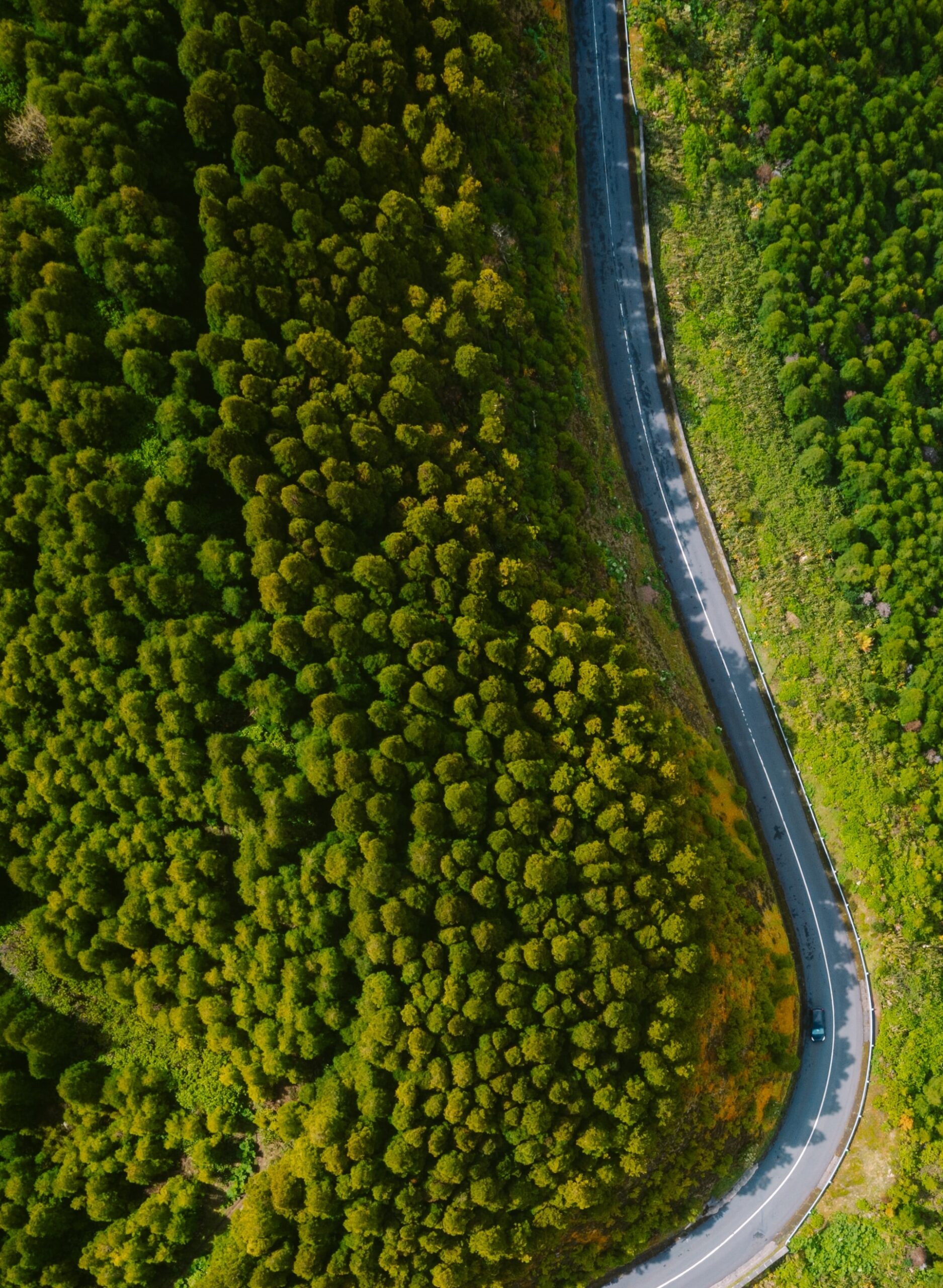 On the way to Green Roads in Asia - TheWaterChannel