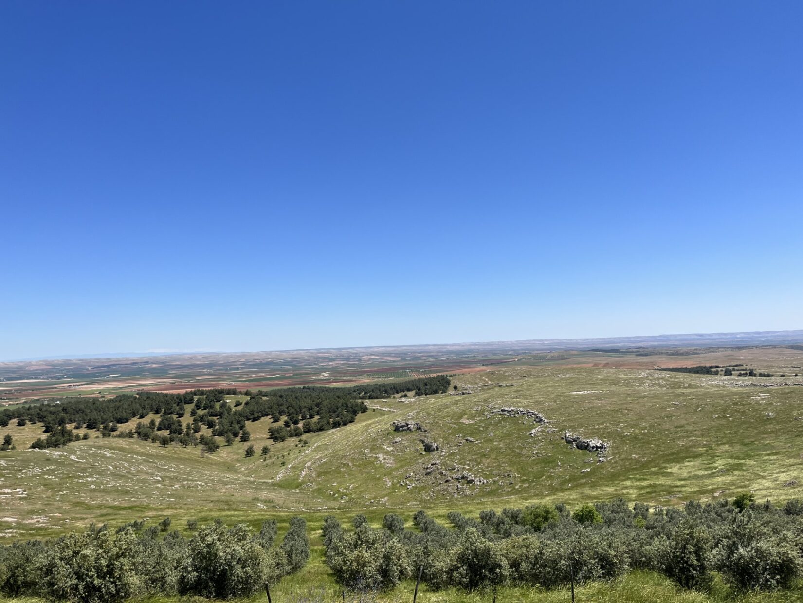 From the Harran Plain: the cradle of agriculture - TheWaterChannel