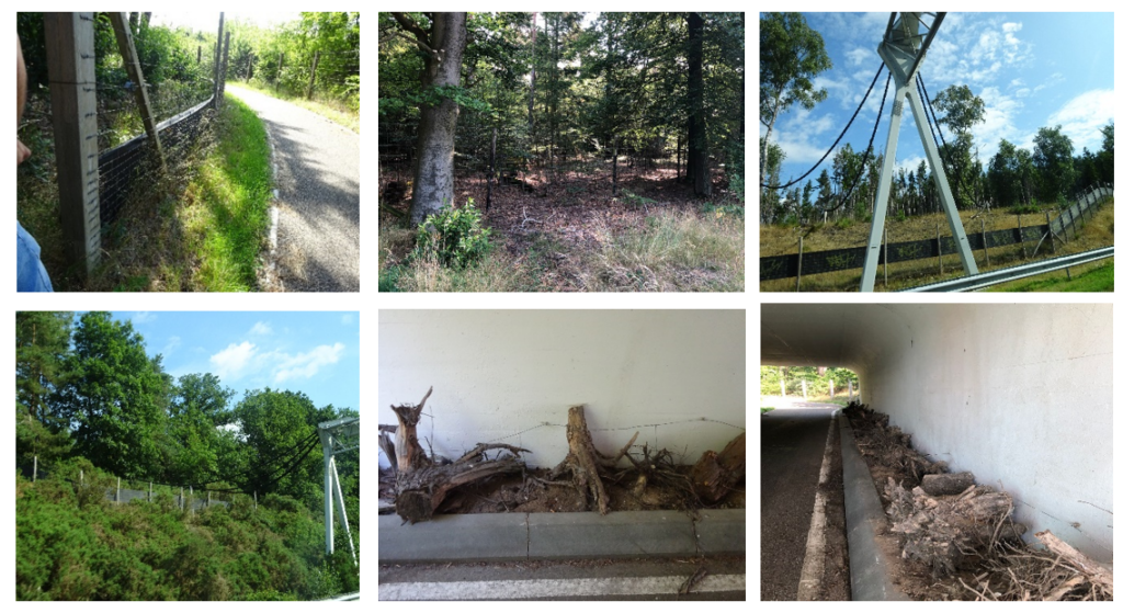 A visual journey through Green Road infrastructure in the Netherlands ...